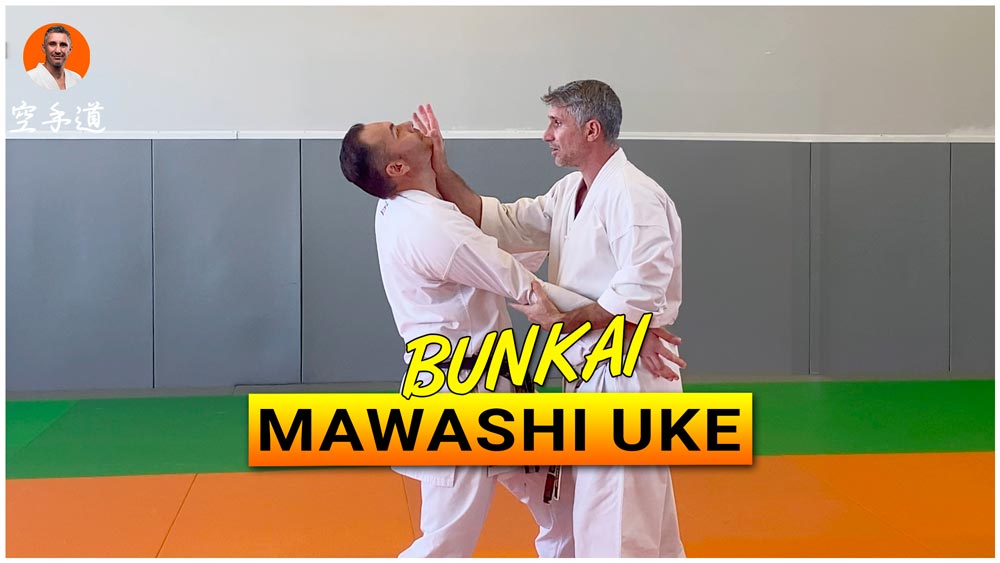 Mawashi Uke Bunkai