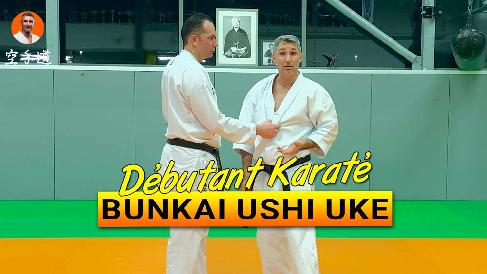 Bunkai Ushi-Uke - spécial débutant